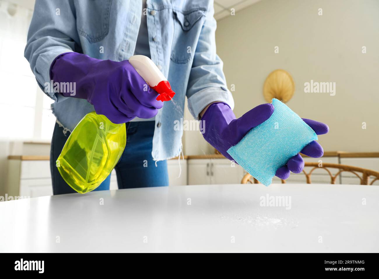 Woman in purple rubber gloves cleaning table with sponge and detergent ...
