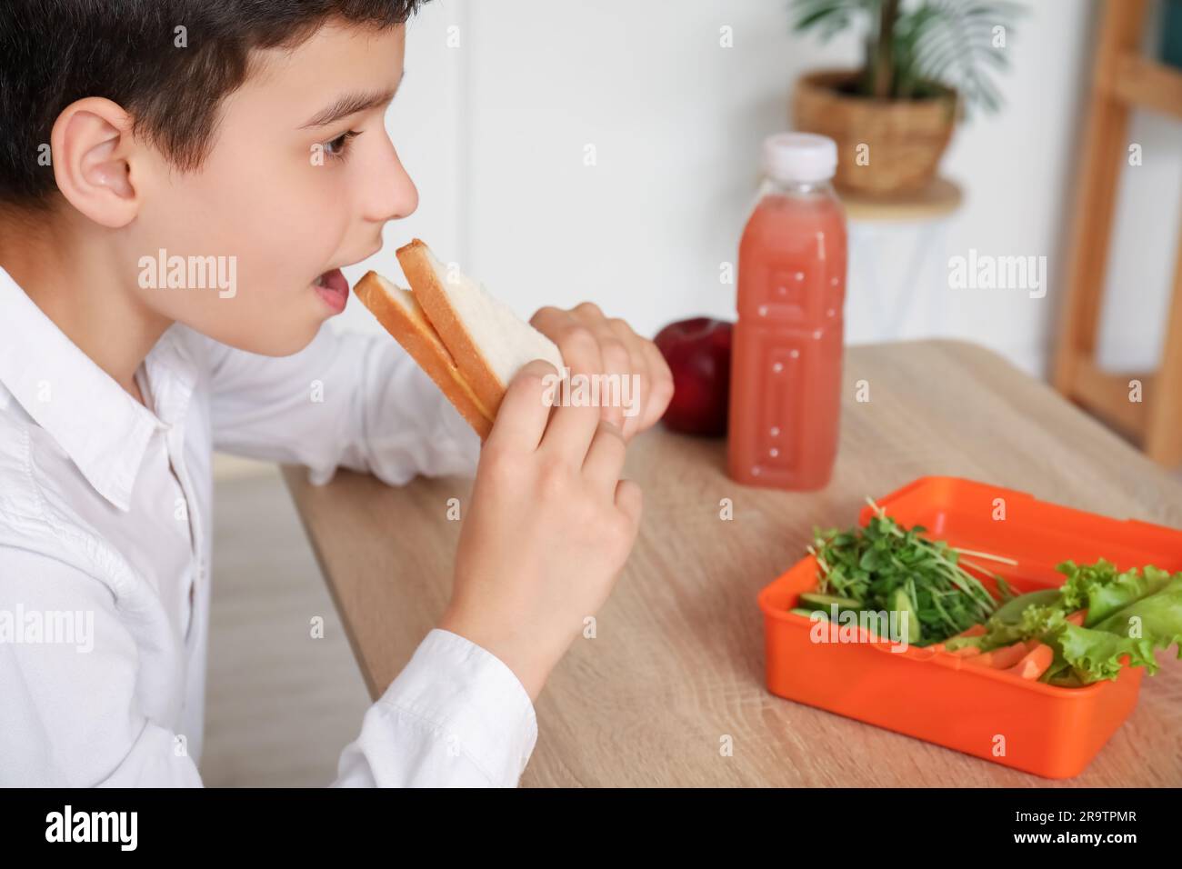 Little boy eating lunch in classroom Stock Photo - Alamy
