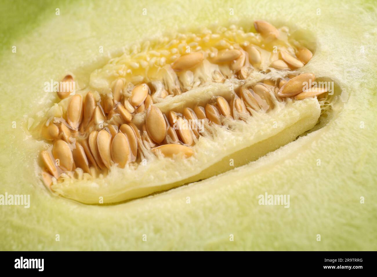 Texture of sweet melon as background Stock Photo - Alamy