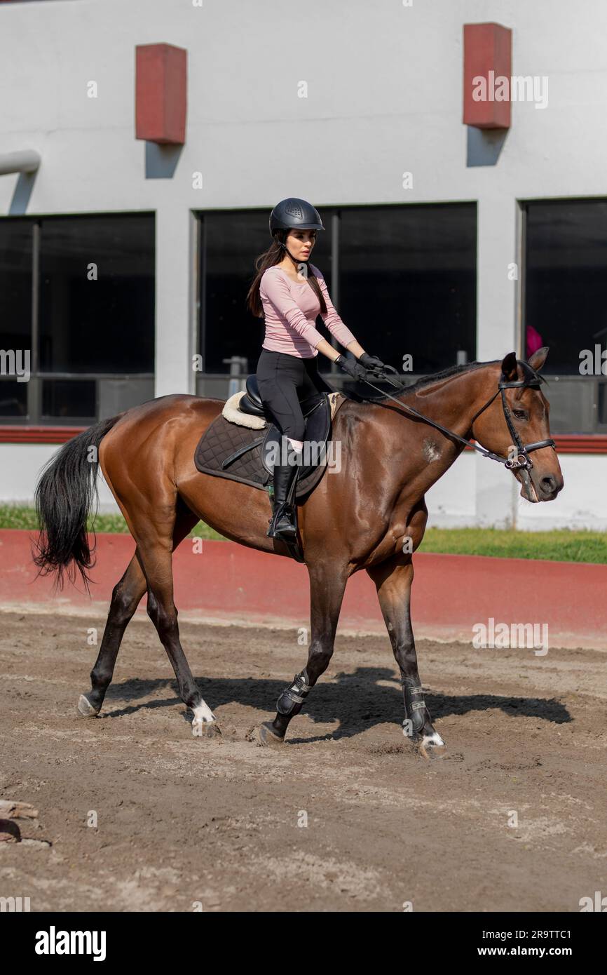 Latina woman horseback riding hi-res stock photography and images - Alamy