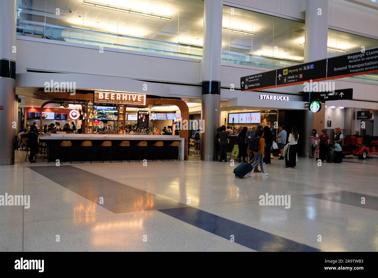 Beerhive beer-centric craft bar with a focus on local beer for ...