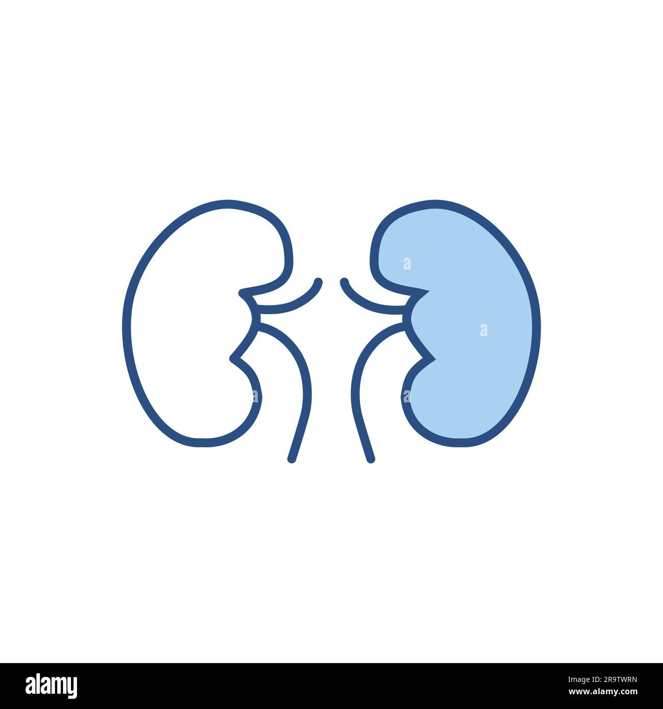 Kidney Vector Icon. Isolated on the White Background. Editable EPS file. Vector illustration ...