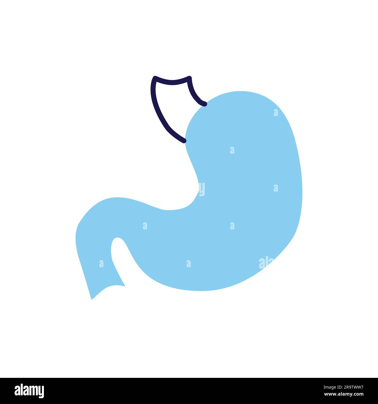 Stomach Vector Icon. Isolated on the White Background. Editable EPS ...