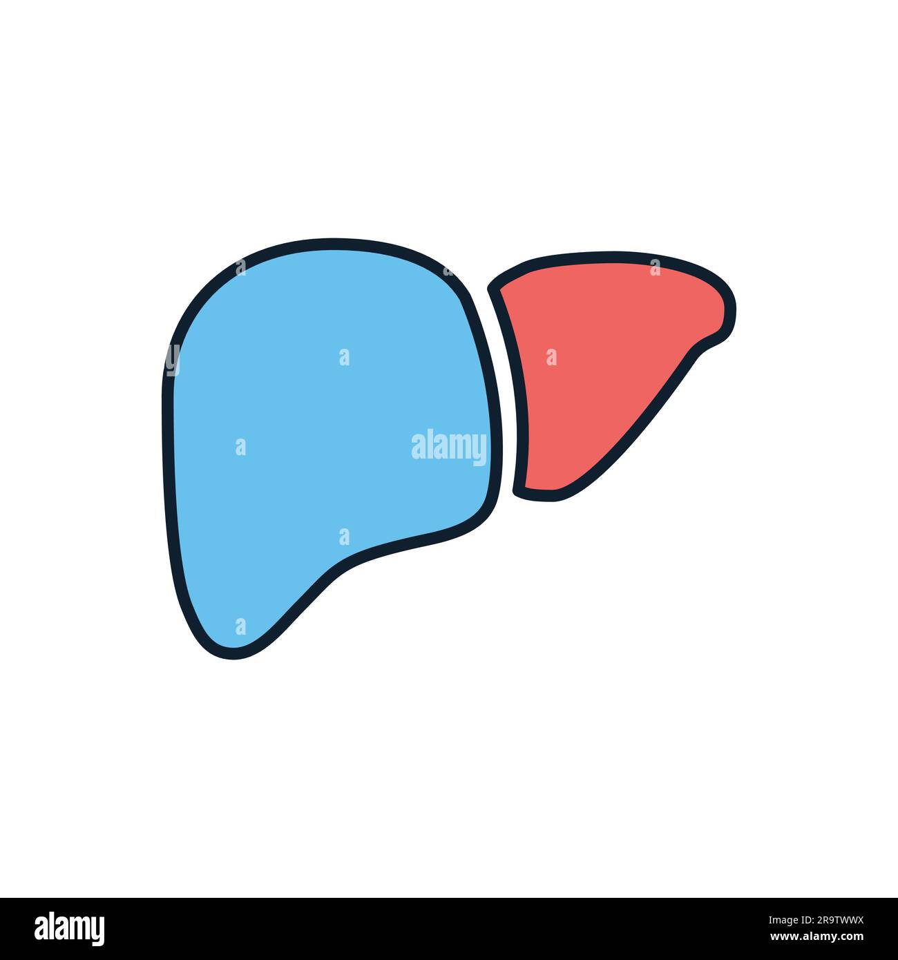 Liver Vector Icon. Isolated on the White Background. Editable EPS file ...