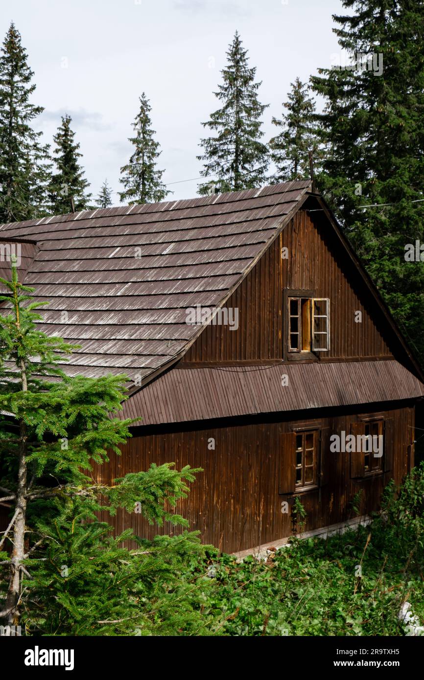 Old wooden house in Snowy mountains, green forests In National park ...