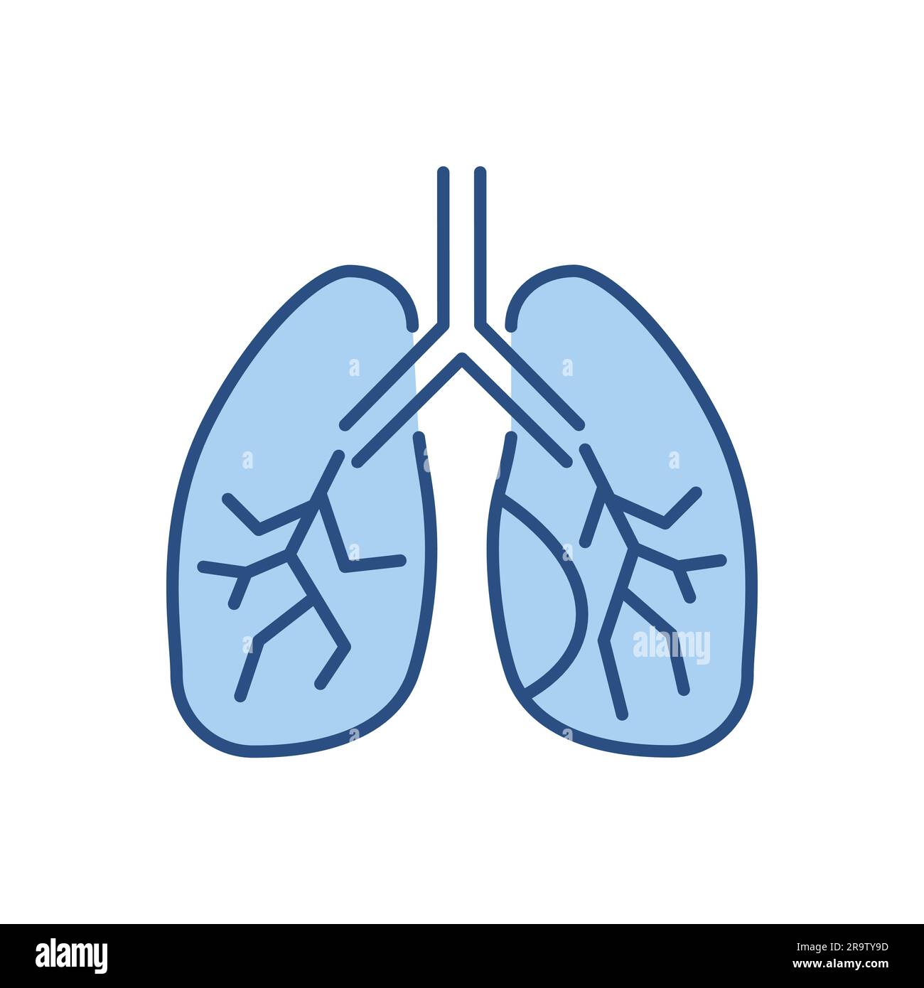 Lungs related vector icon. Lungs sign. Isolated on white background ...