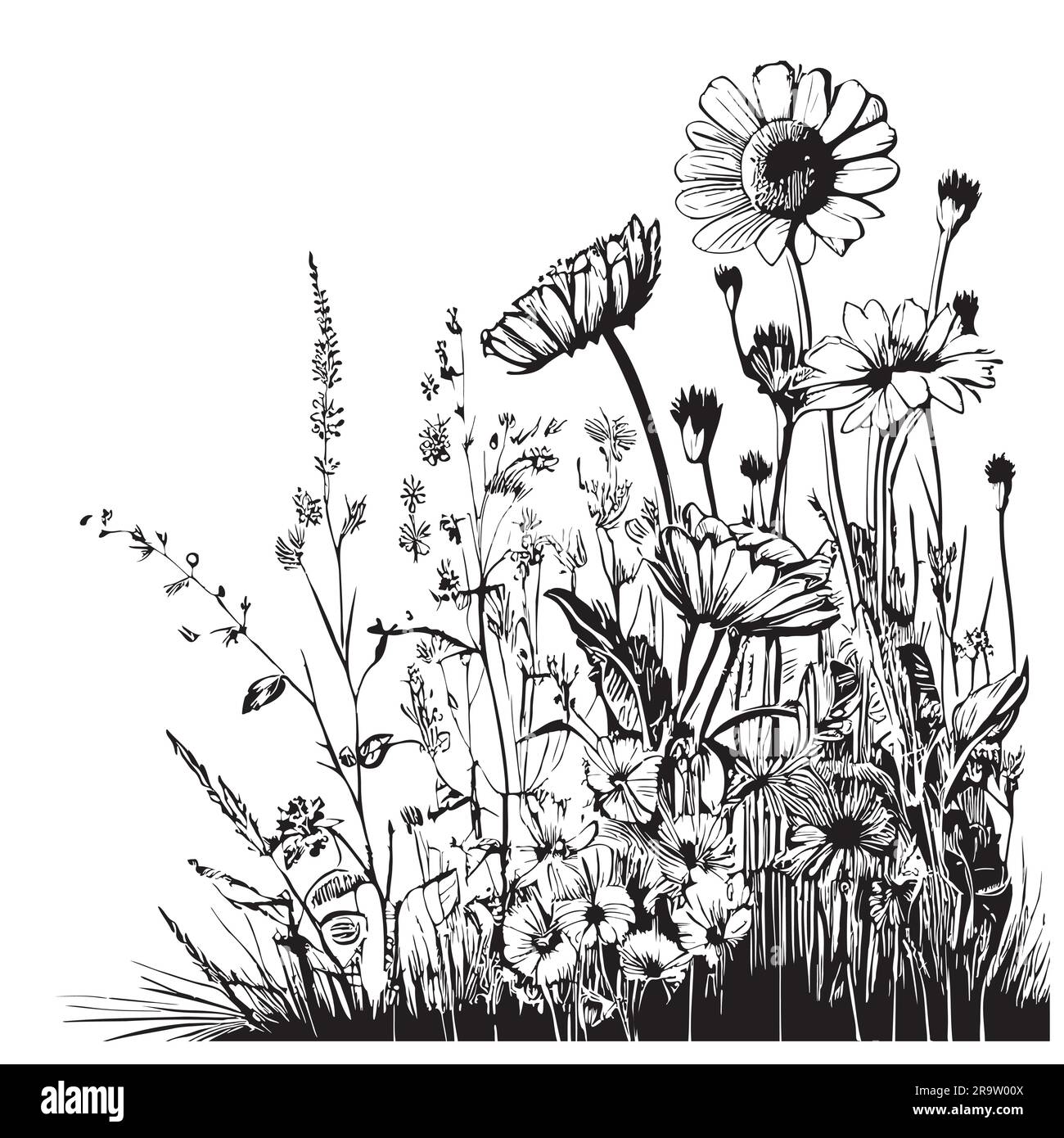 Wild field hand drawn sketch in doodle style field Vector illustration ...