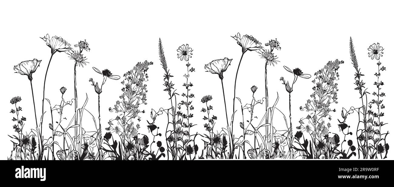 Wildflowers seamless border sketch hand drawn in doodle style ...