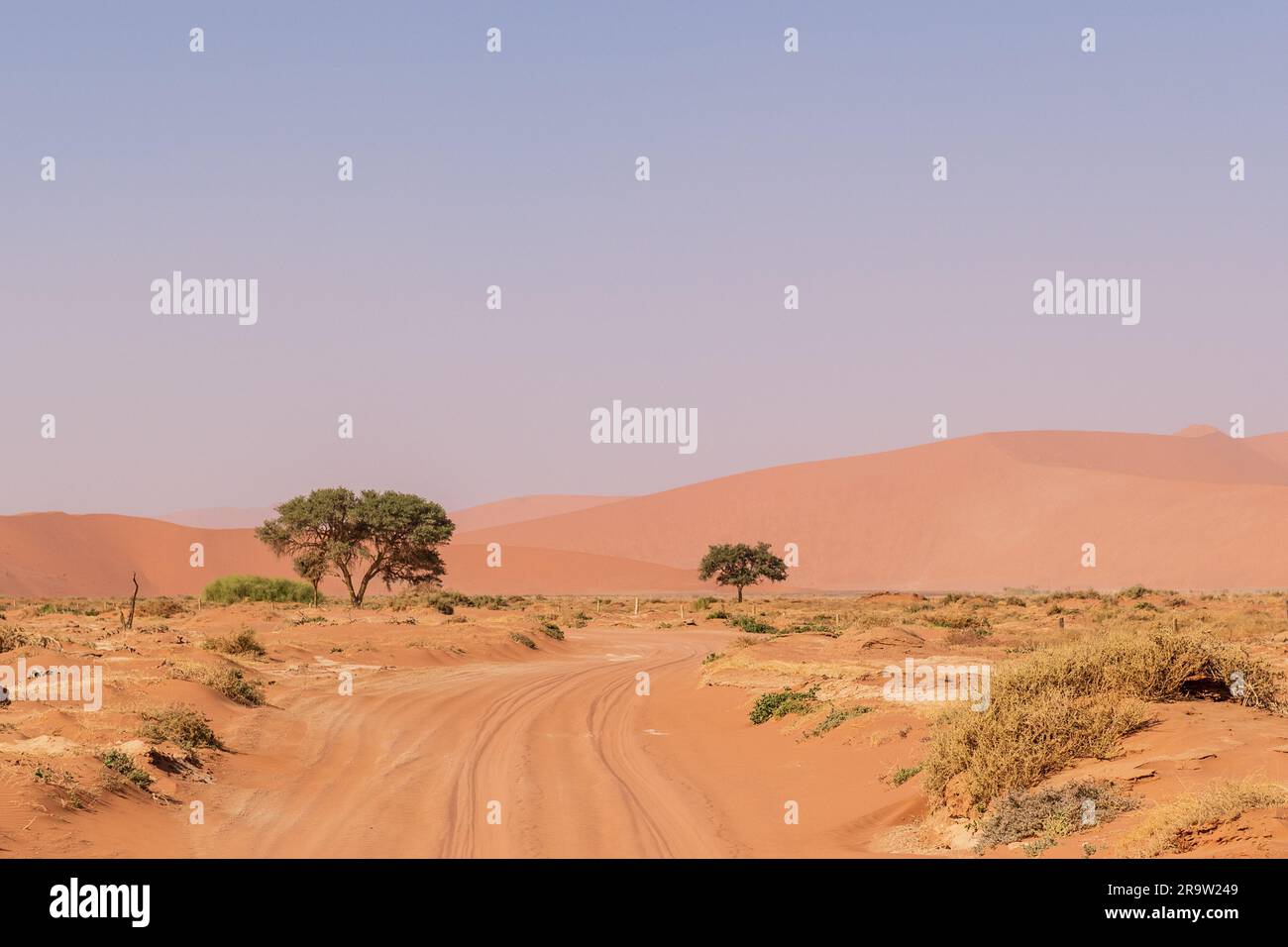 Impression of the massive sanddunes that comprise the Sossusvlei of ...