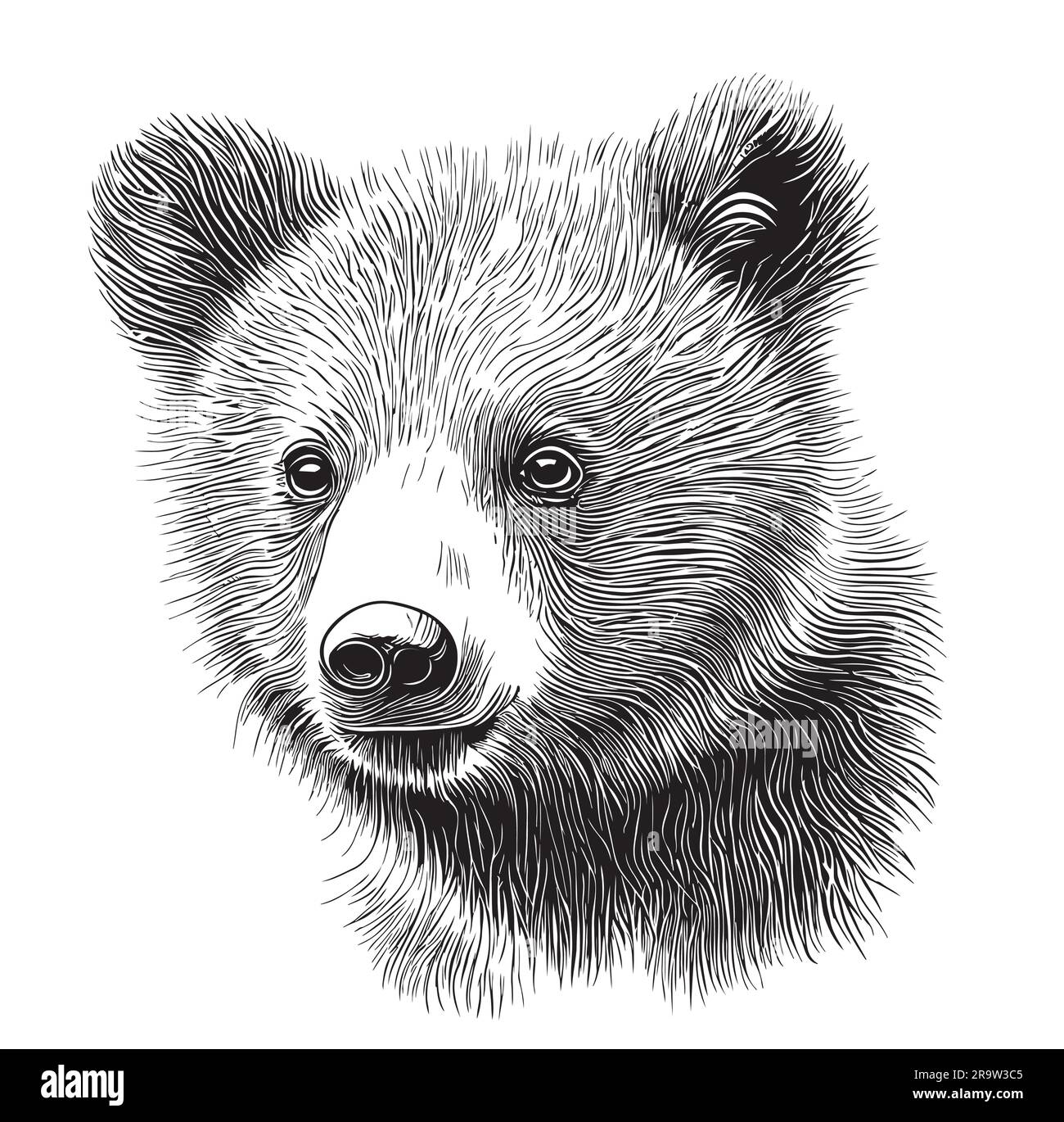 Teddy Bear Head Drawing