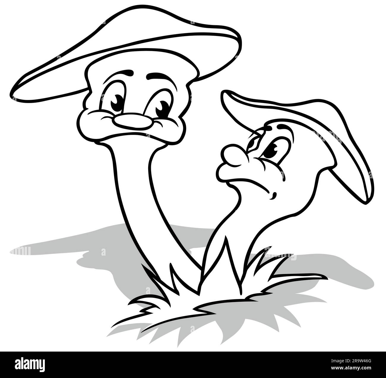 White mushrooms growing on Stock Vector Images - Alamy