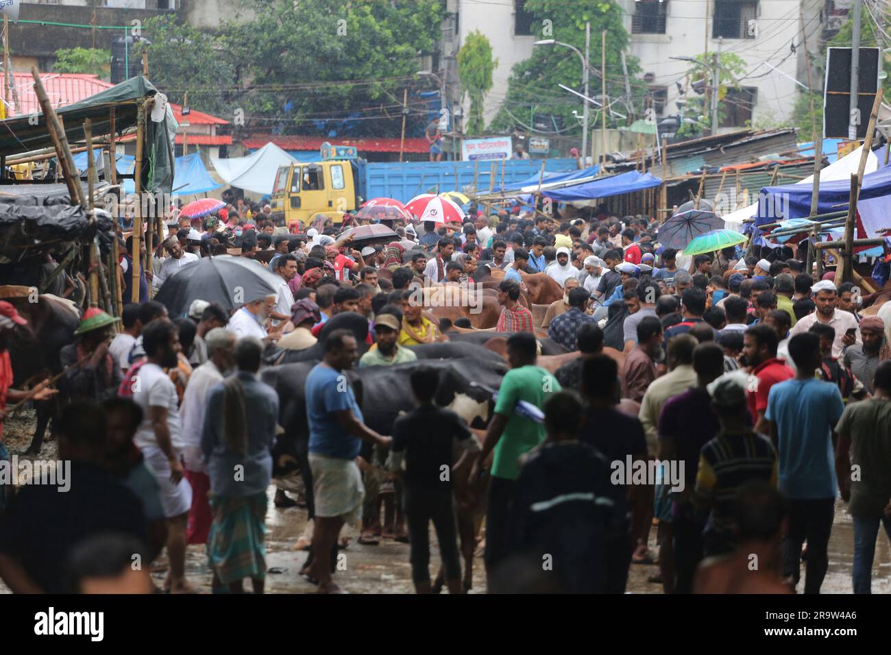 Dhaka, Bangladesh. 28th June, 2023. Cattle traders wait for customers to sell sacrificial ...