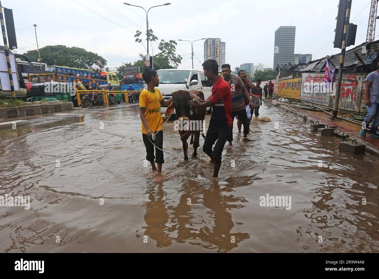 Dhaka, Bangladesh. 28th June, 2023. Cattle traders wait for customers to sell sacrificial ...
