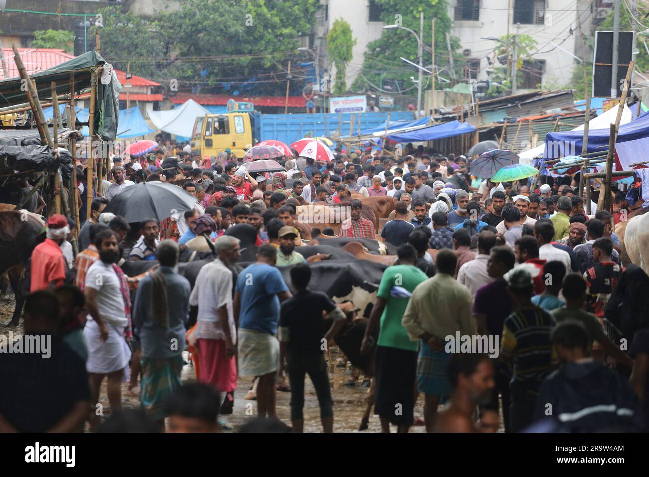 Dhaka, Bangladesh. 28th June, 2023. Cattle traders wait for customers to sell sacrificial ...