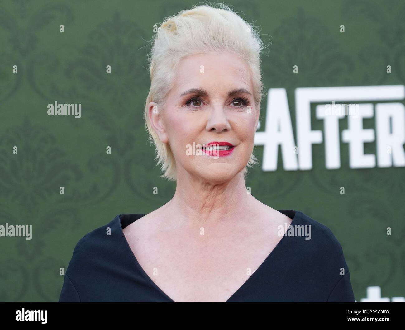 Elizabeth Perkins 2010
