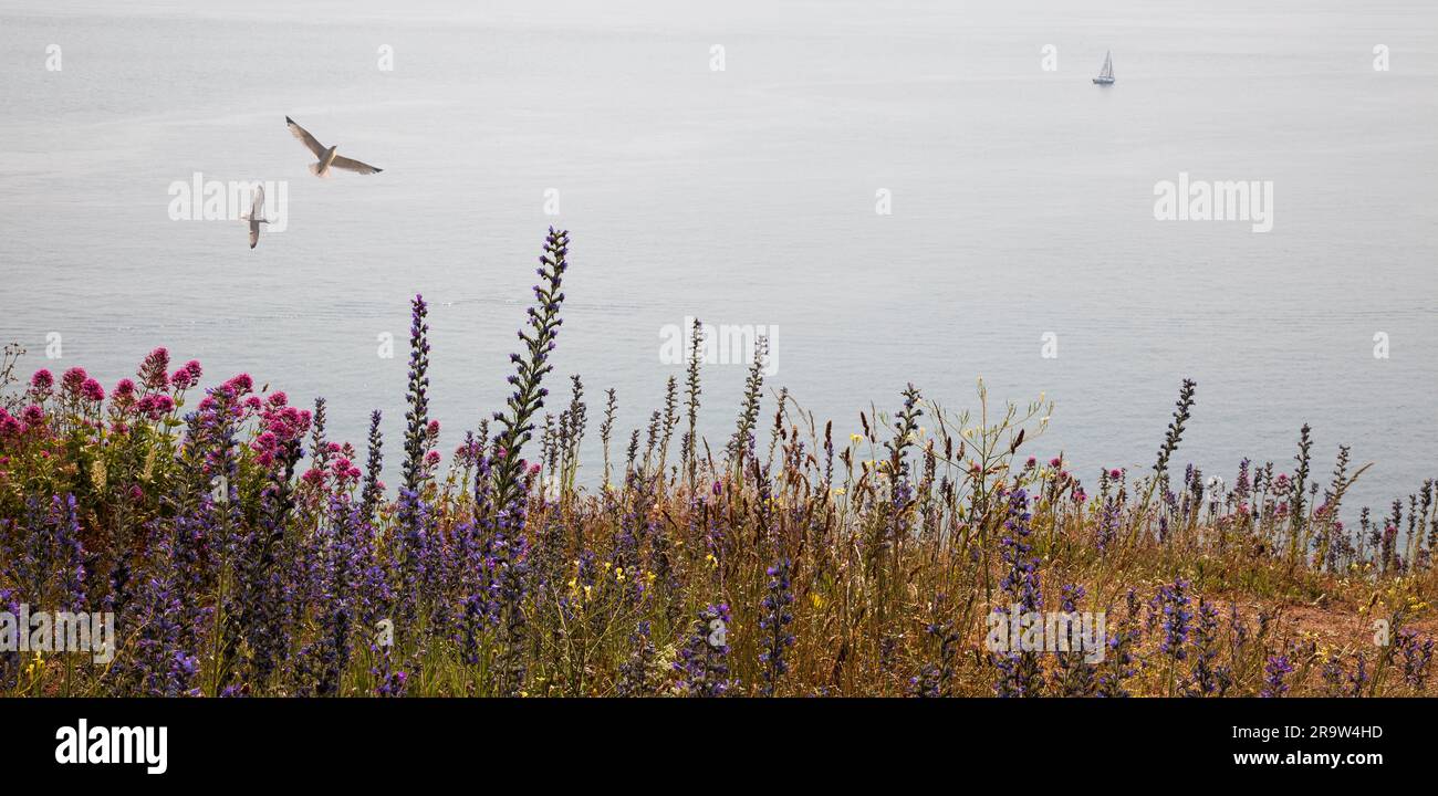 Nag006605 hi-res stock photography and images - Alamy