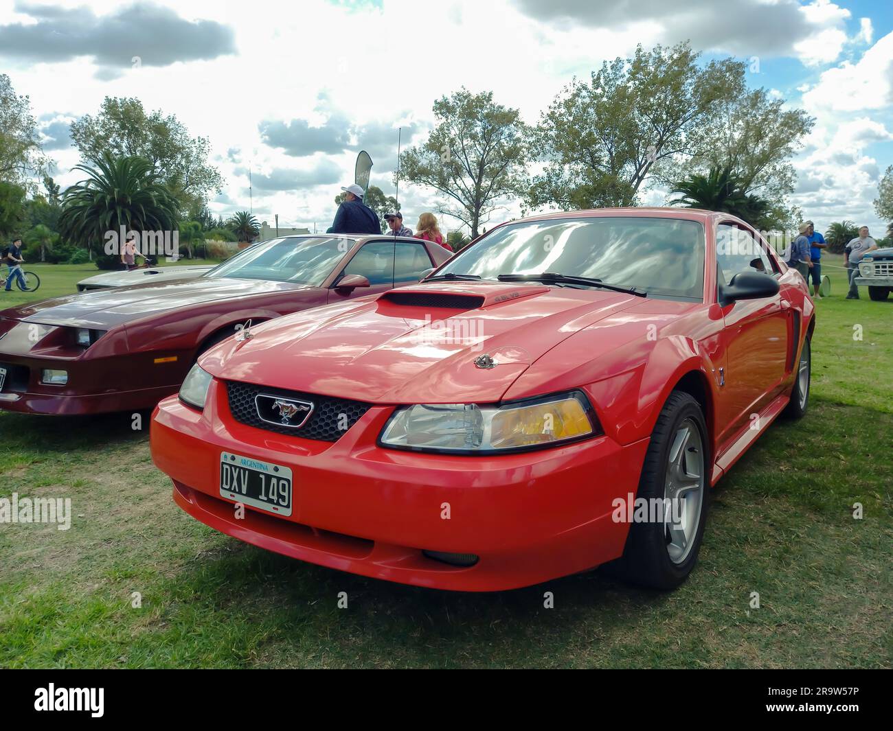 Red ford mustang driving trees hi-res stock photography and images - Alamy