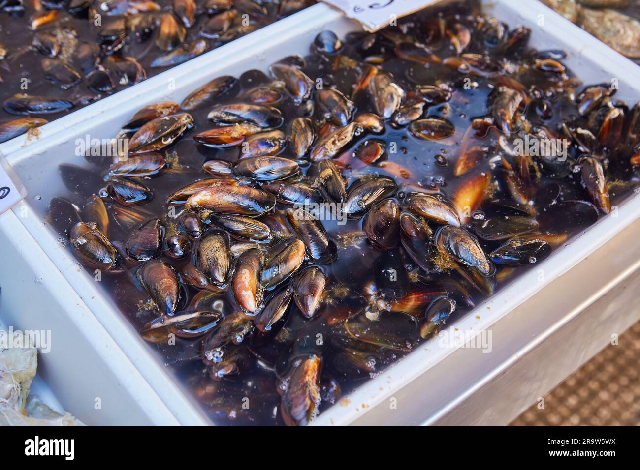 Mussels and seafood on trays with price tags on the street market in ...