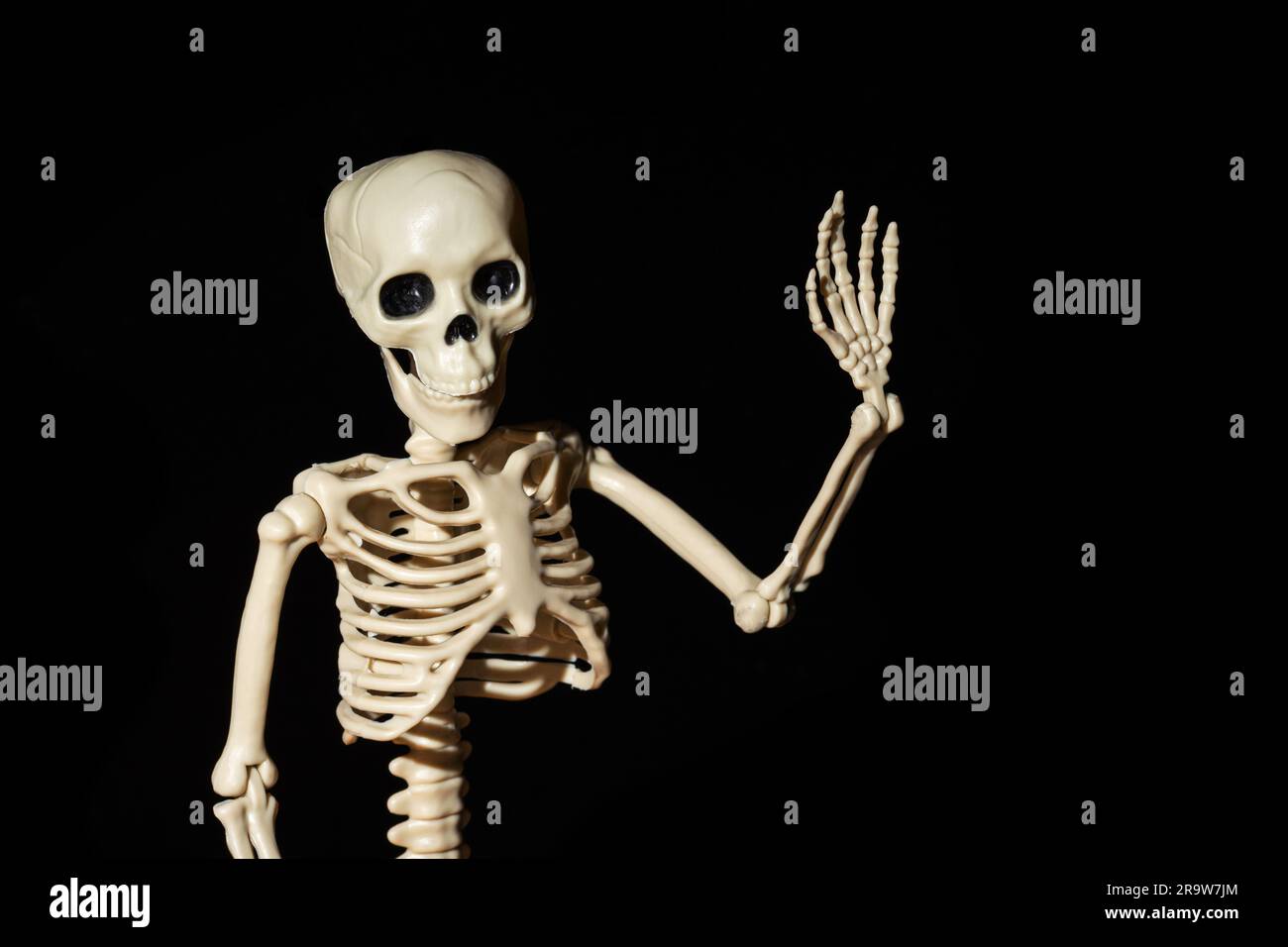 Human Skeleton waving greeting hand isolated on black background. Day ...