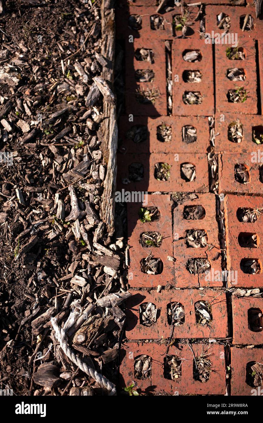 Closeup of brick paving and bark path in garden Stock Photo - Alamy