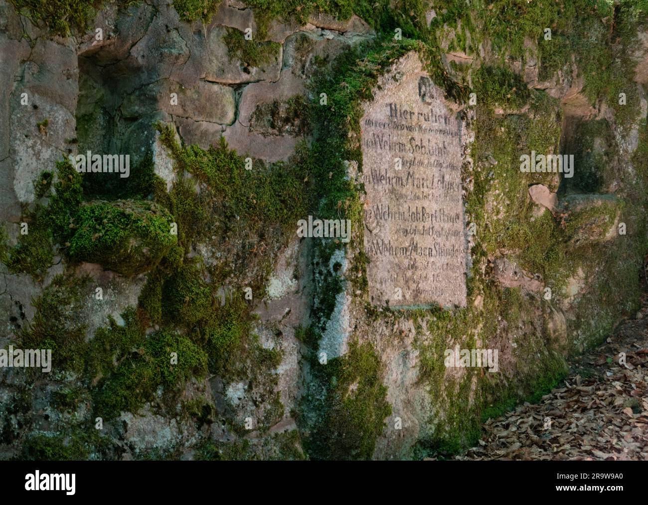 Remains of the first world war: an old, forgotten German cemetery in a ...