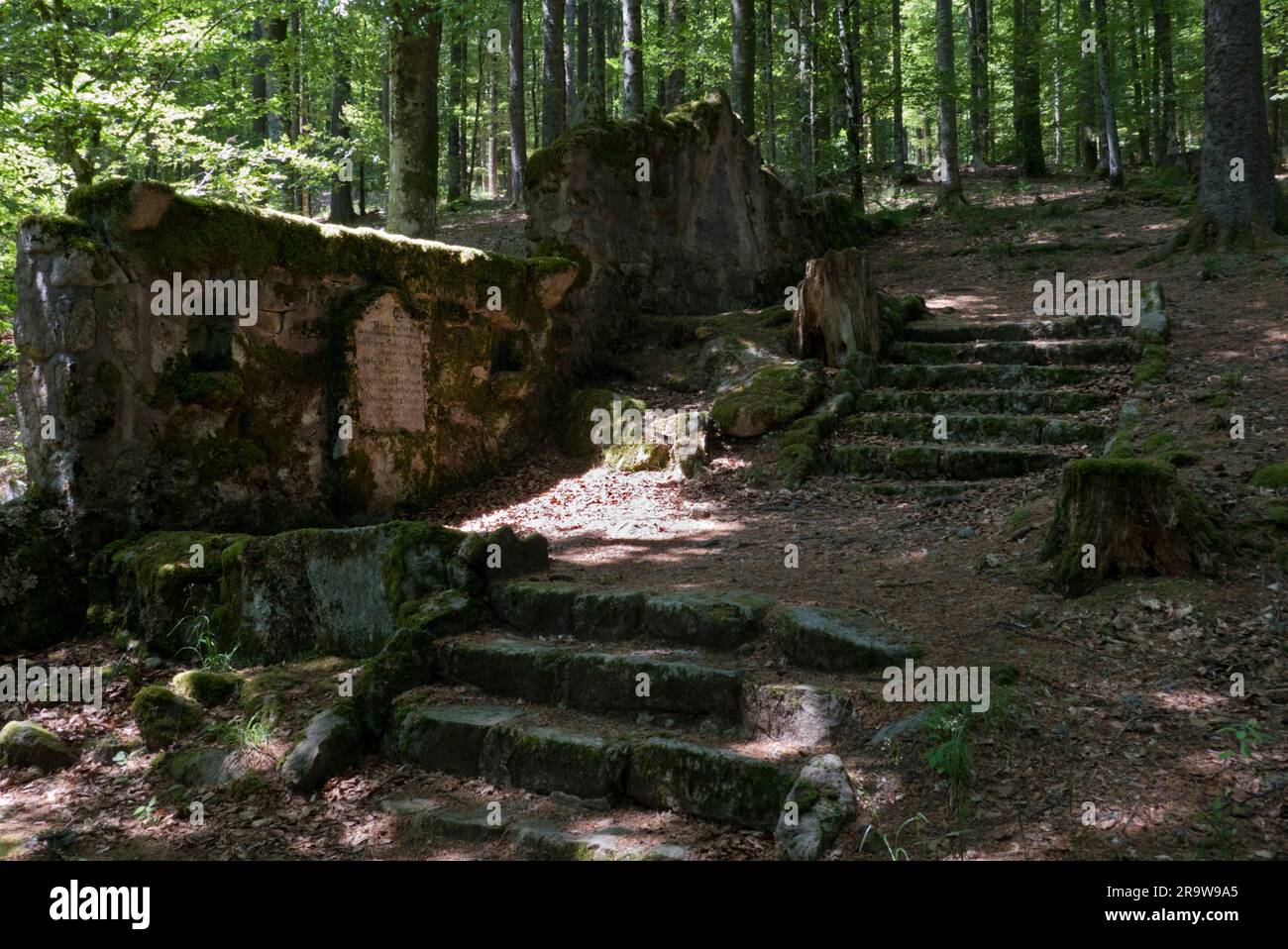 Remains of the first world war: an old, forgotten German cemetery in a ...