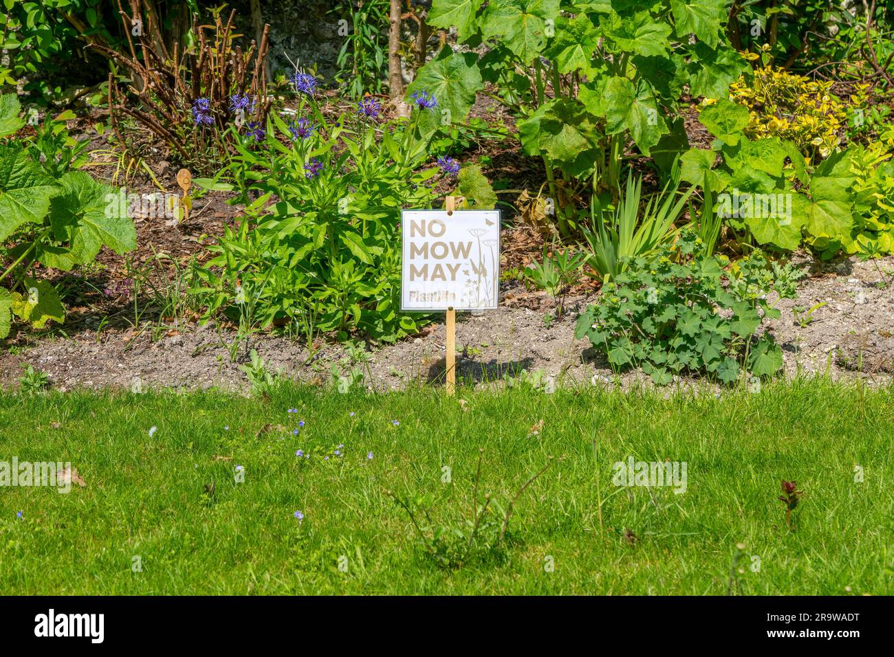No Mow May sign village green, Middle Woodford, Woodford Valley ...