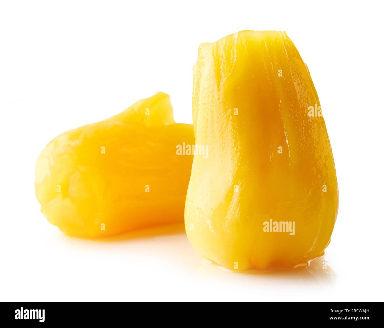 canned jackfruit pieces isolated on white background Stock Photo - Alamy
