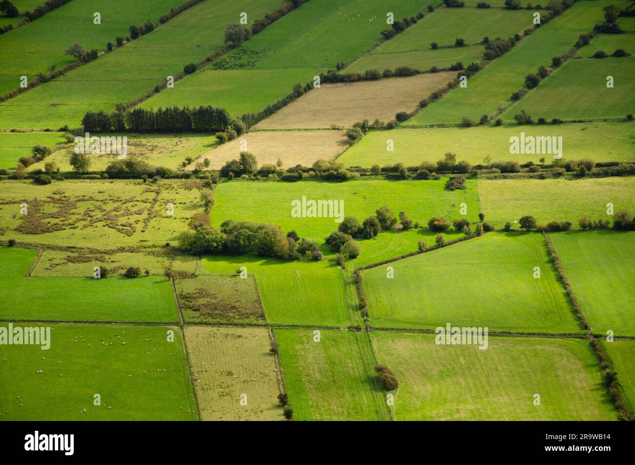 Tehe hi-res stock photography and images - Alamy