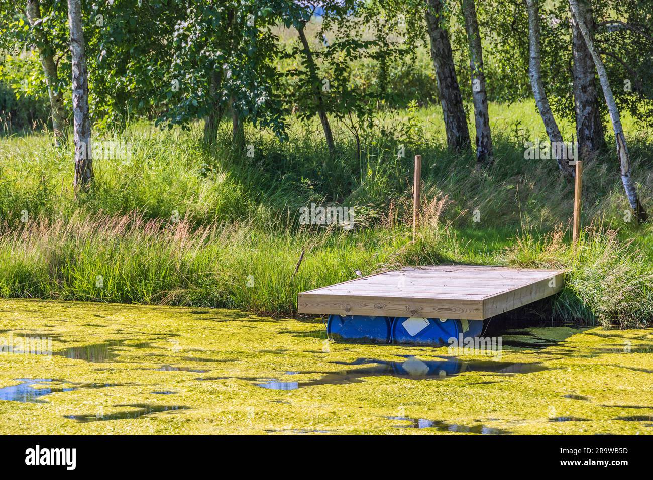Jetty at a lakeshore hi-res stock photography and images - Alamy