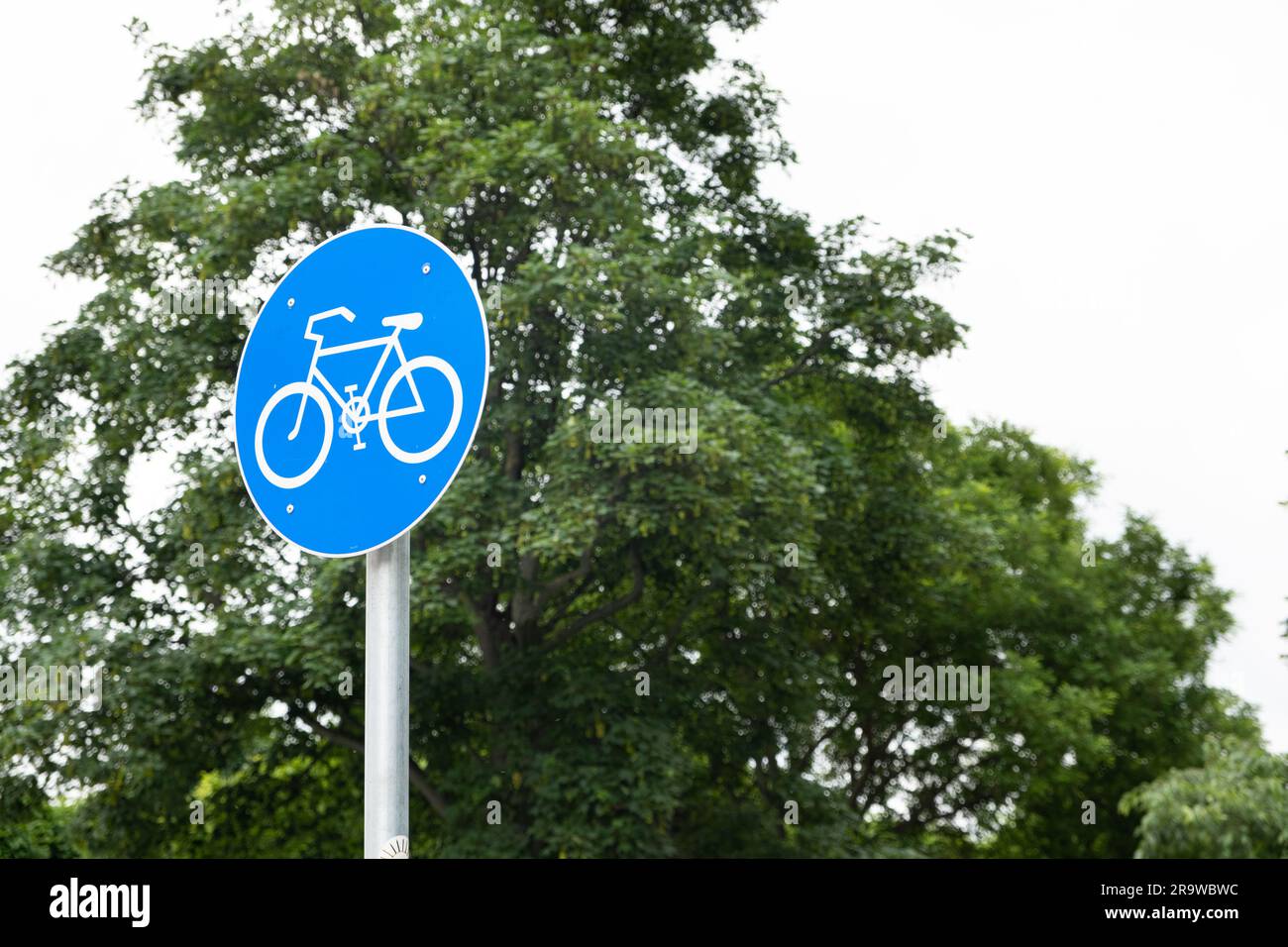 Bicycle path sign in Europe against the background of trees and sky ...