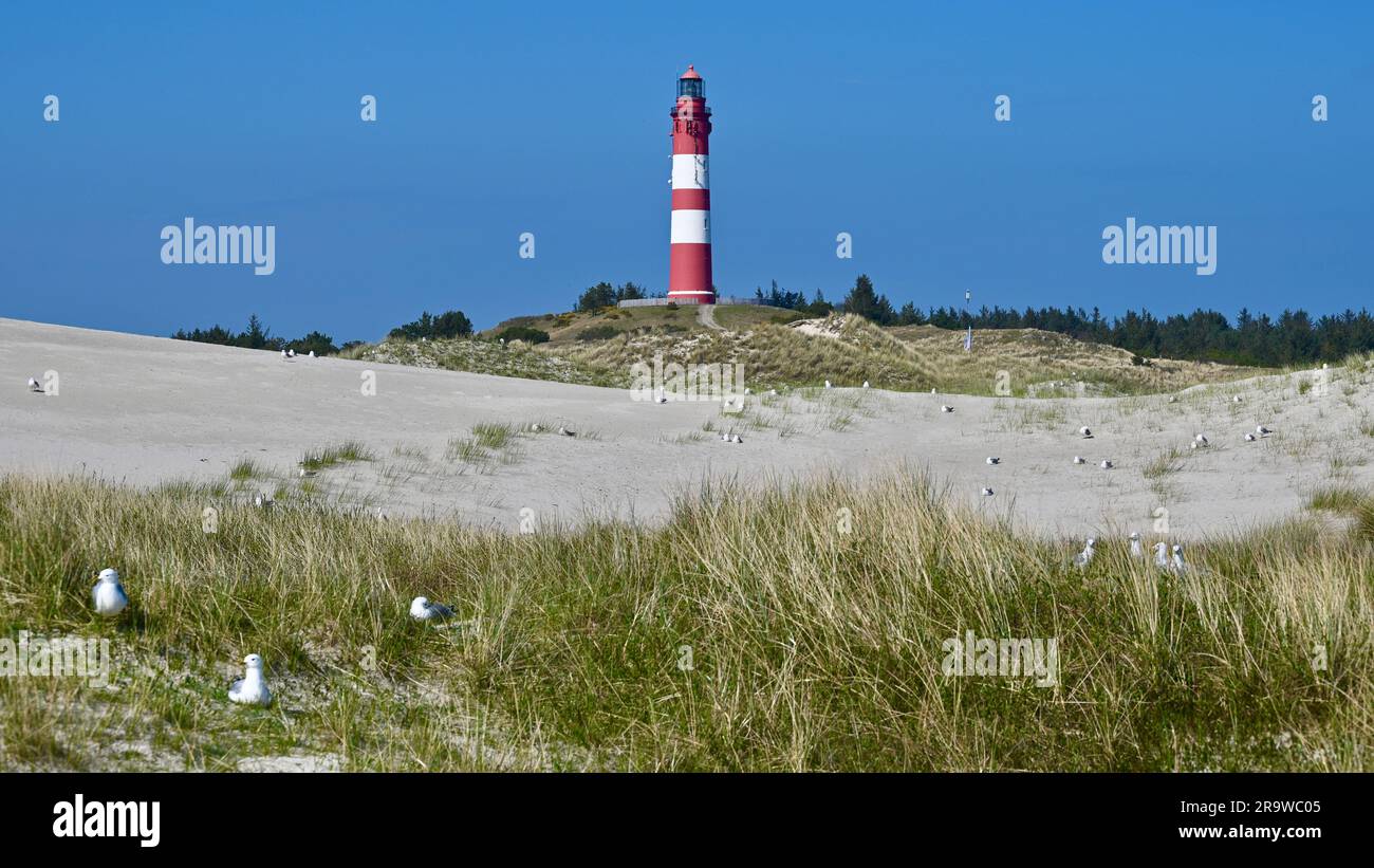 Walking the Dünenweg between Wittdün and the Lighthouse on the Island ...