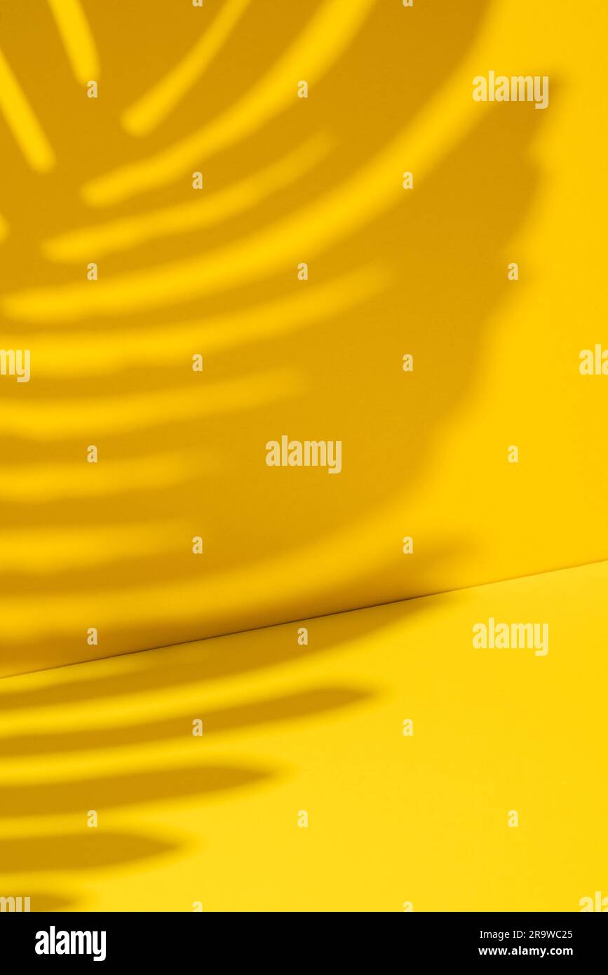Yellow background mockup, template with palm leaf shadow Stock Photo ...