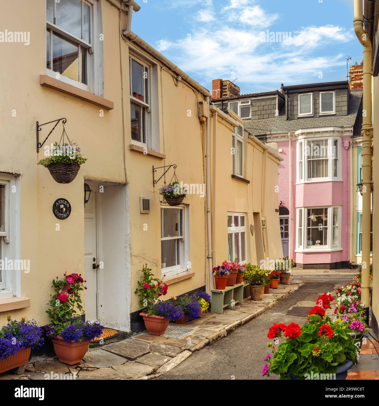 Flowers line 'The Path', one of the many narrow streets in the ...