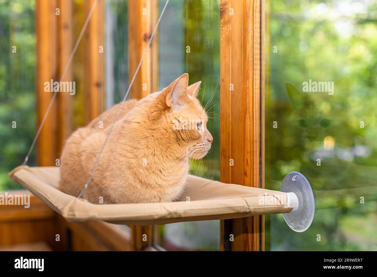 Look out house mount hi-res stock photography and images - Alamy