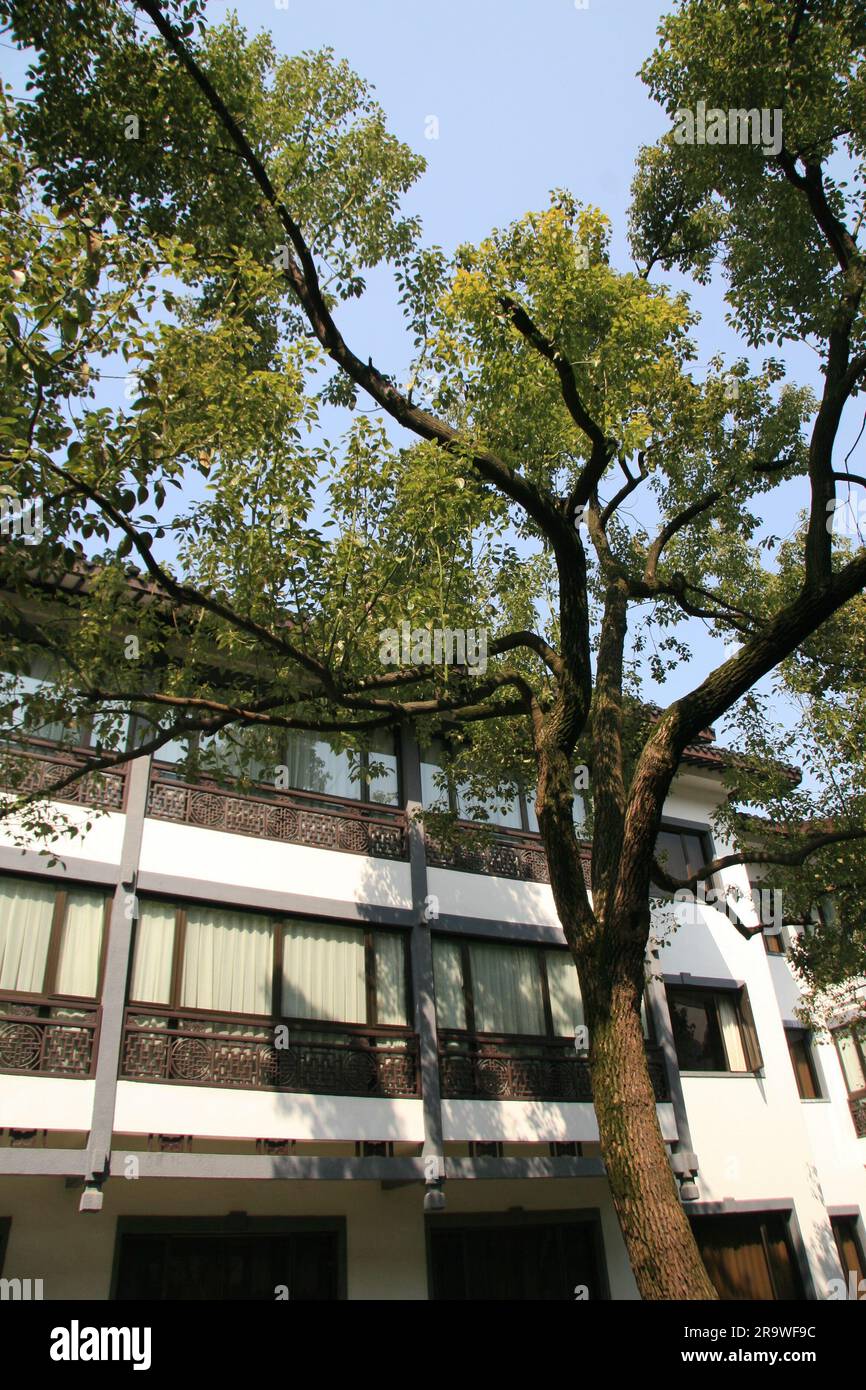 Shaoxing restaurant white traditional exterior Stock Photo - Alamy