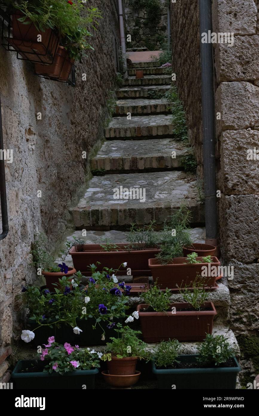 A step made of bricks, in the outdoors Stock Photo - Alamy A step made of bricks, in the outdoors Stock Photo - Alamy