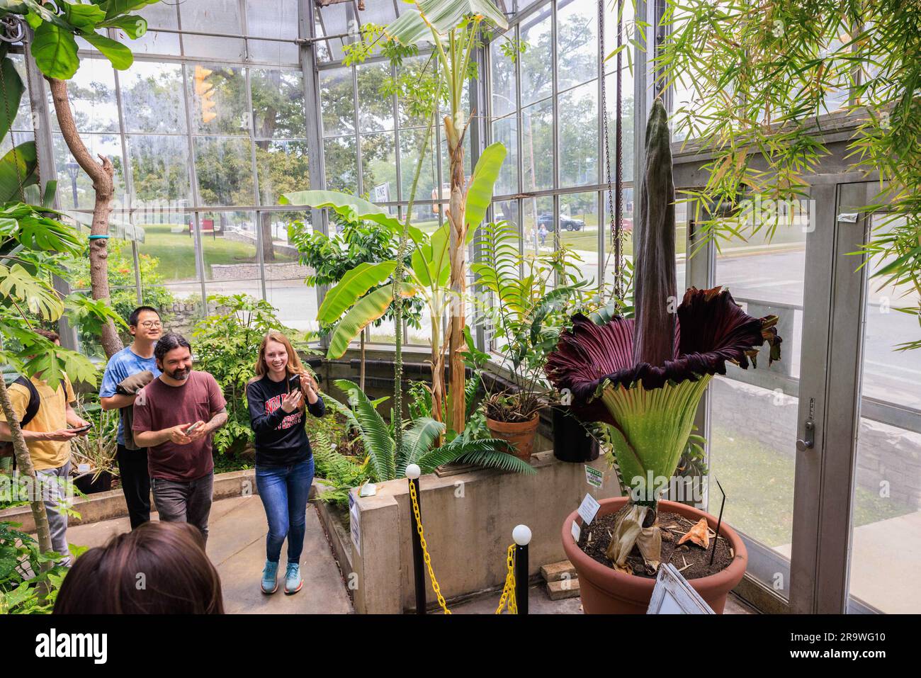 Wally hogan hi-res stock photography and images - Alamy