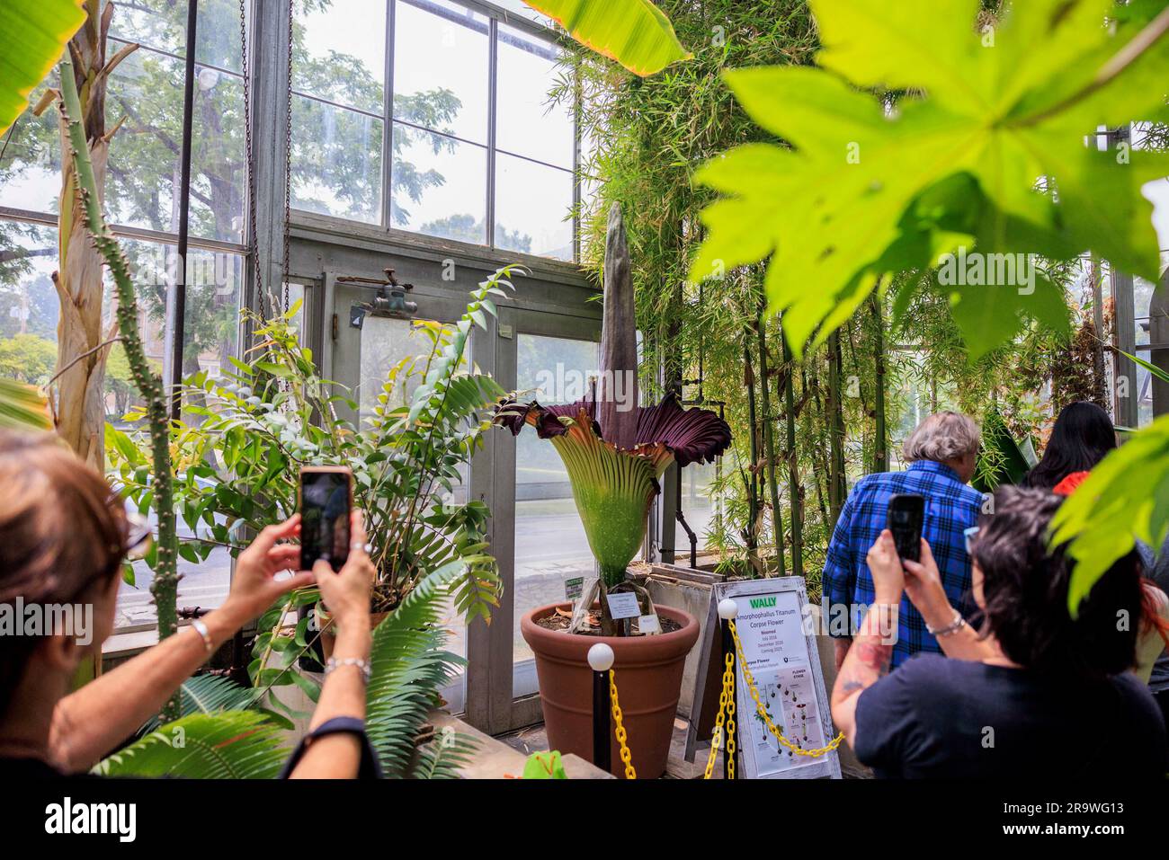 Wally hogan hi-res stock photography and images - Alamy