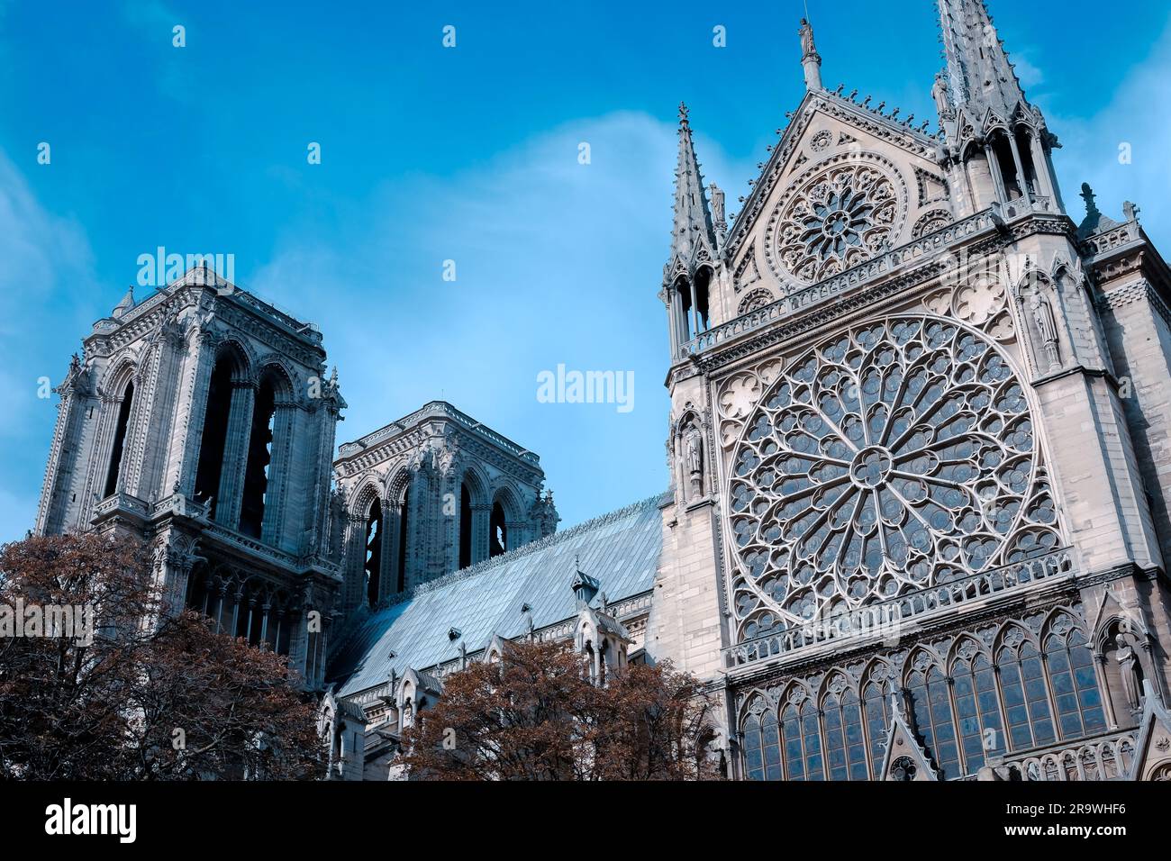The Notre Dame de Paris cathedral, located in France, stands ...