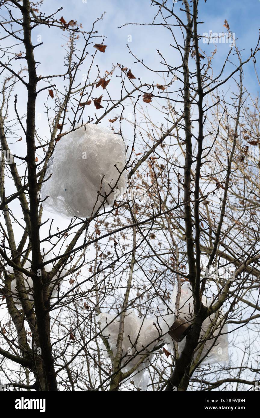 Plastic pollution tree hi-res stock photography and images - Alamy