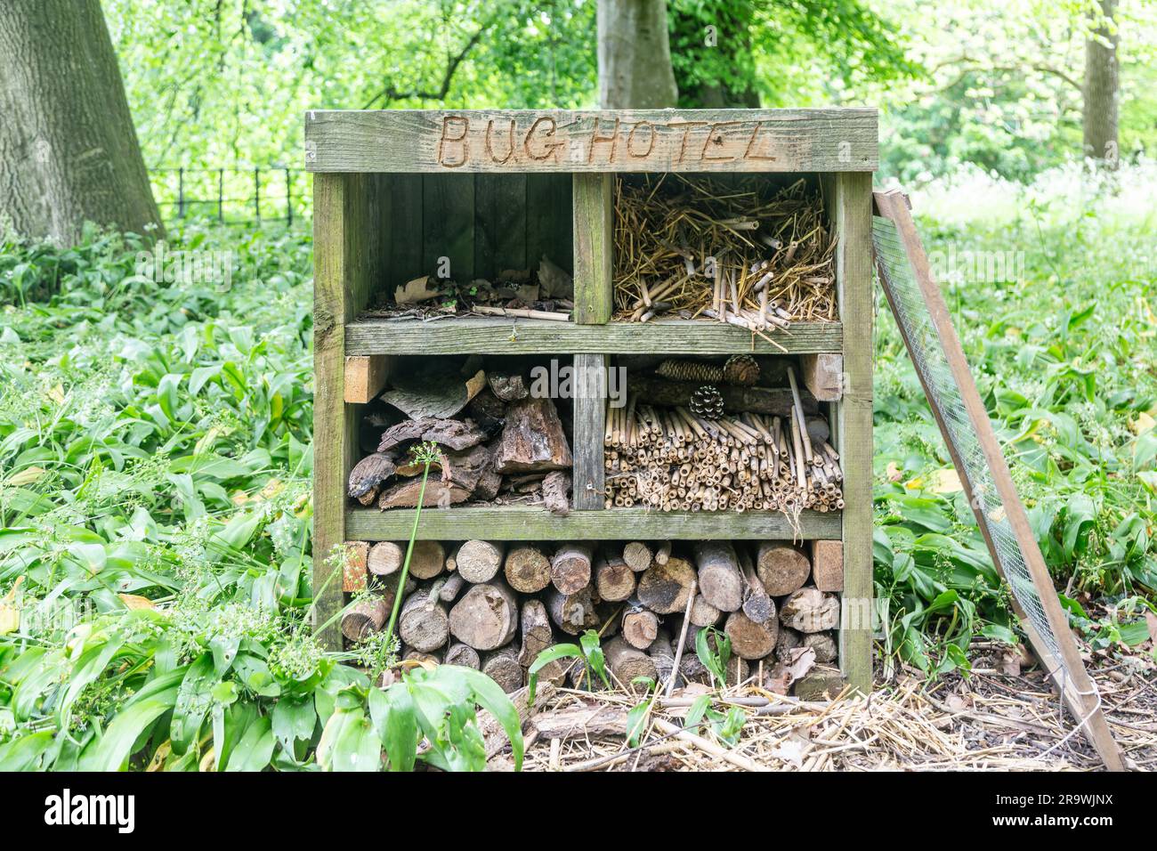 Bug Hotel habitat for insects in woodland, Lacock, Wiltshire, England ...