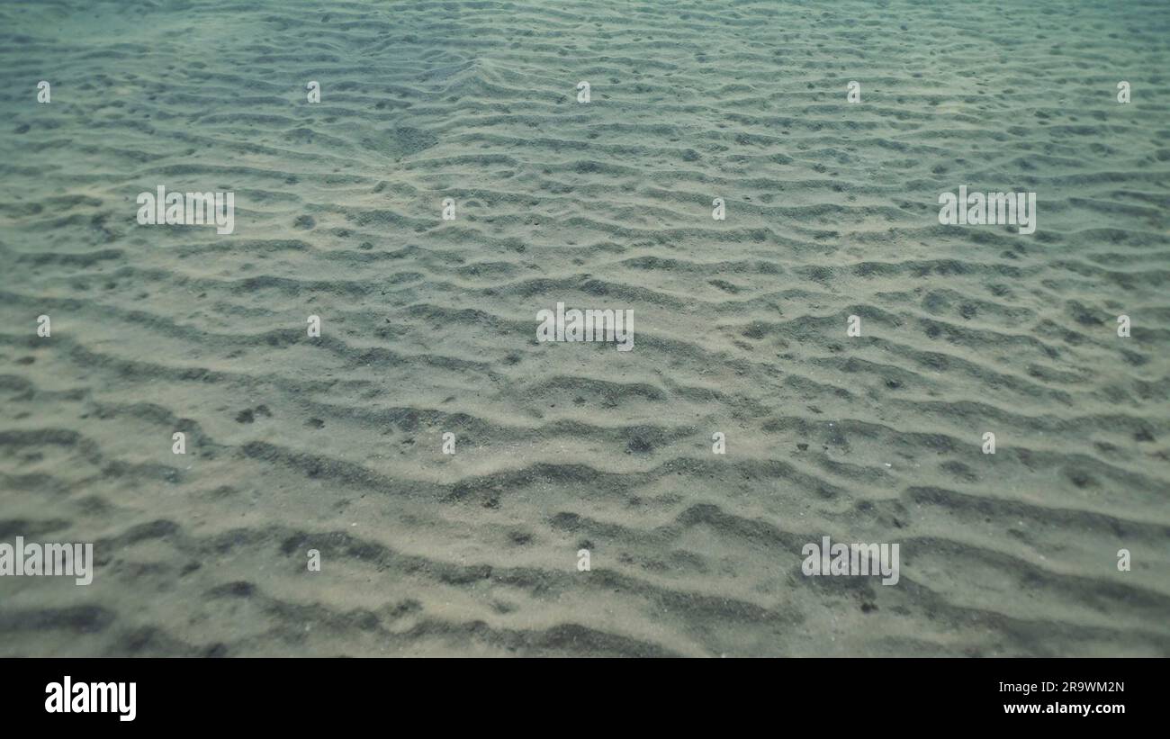 Sandy silty bottom with sunraiy in the morning time. Natural background ...