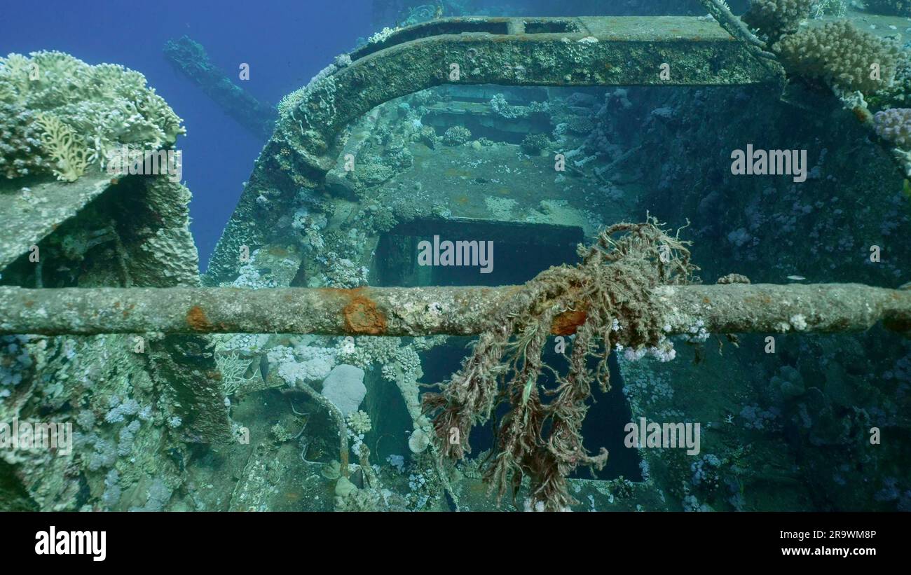 Deck grown with corals of ferry Salem Express shipwreck on blue water ...