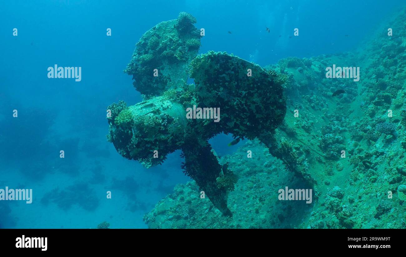 Propeller of ferry Salem Express shipwreck, Red sea, Safaga, Egypt ...