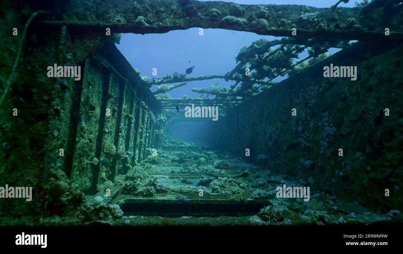 Deck grown with corals of ferry Salem Express shipwreck on blue water ...