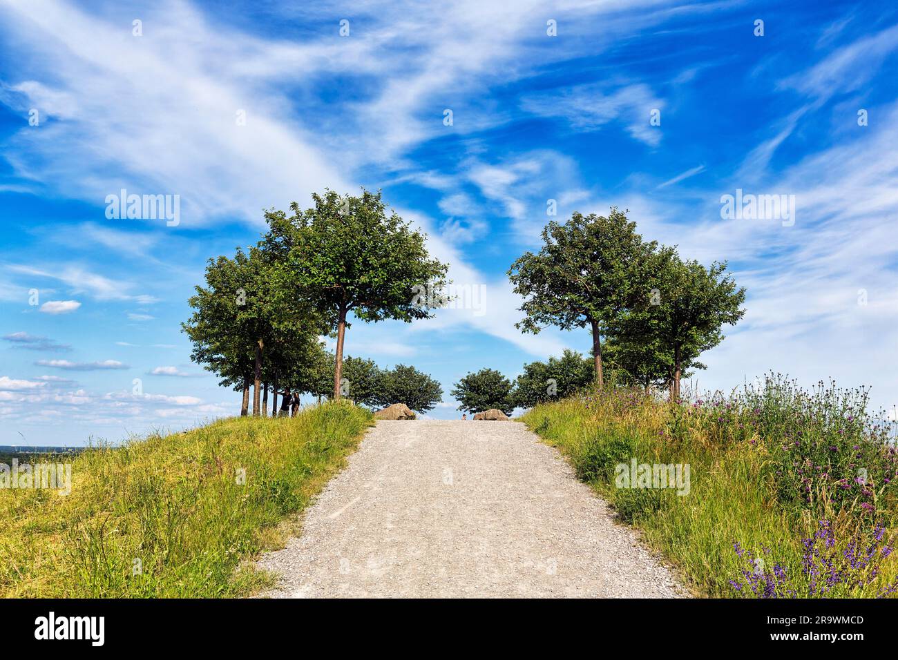 Artificially created hill, vantage point, trees arranged in a circle ...