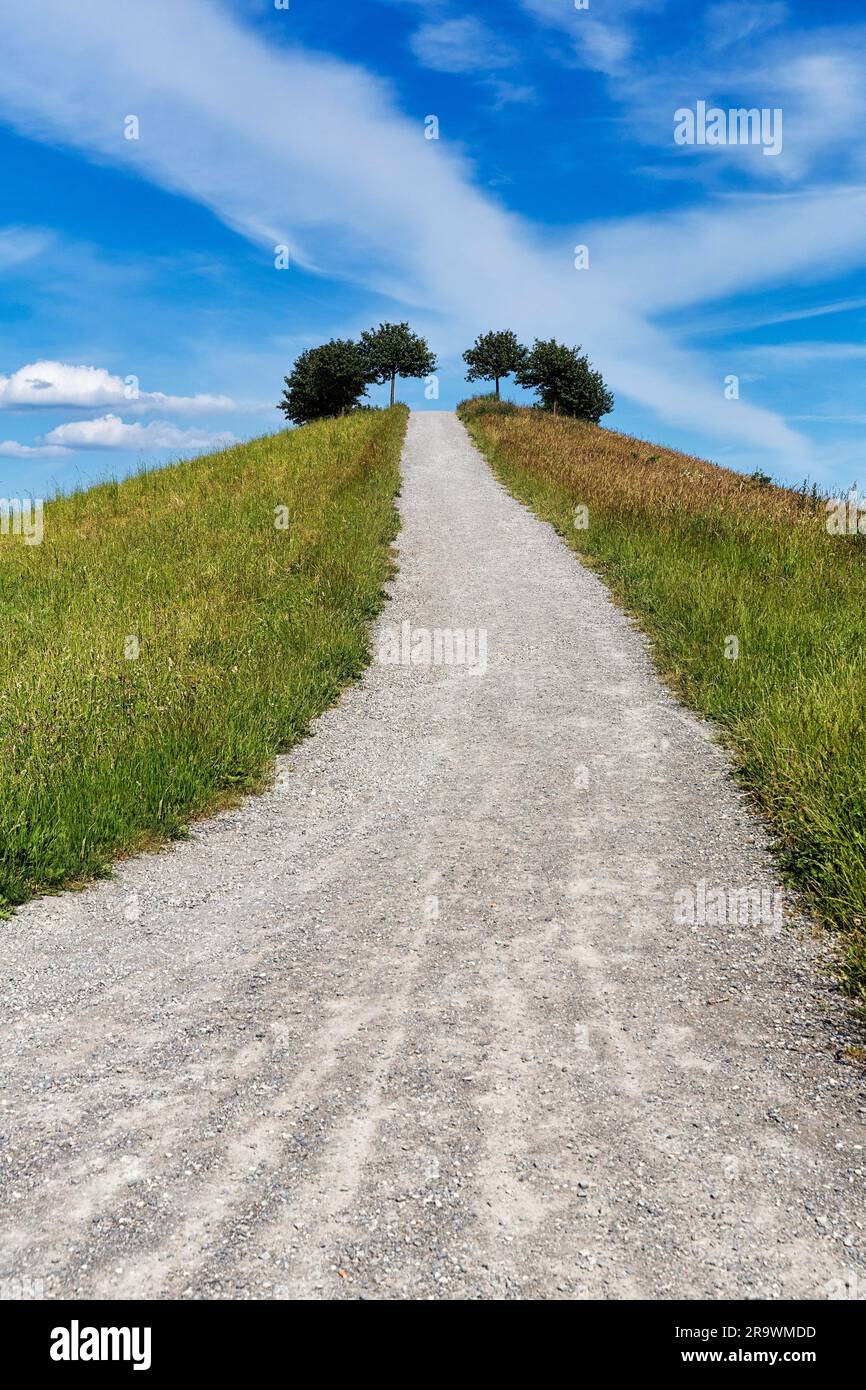 Artificially created hill, hiking trail, cycle path to viewpoint, trees ...