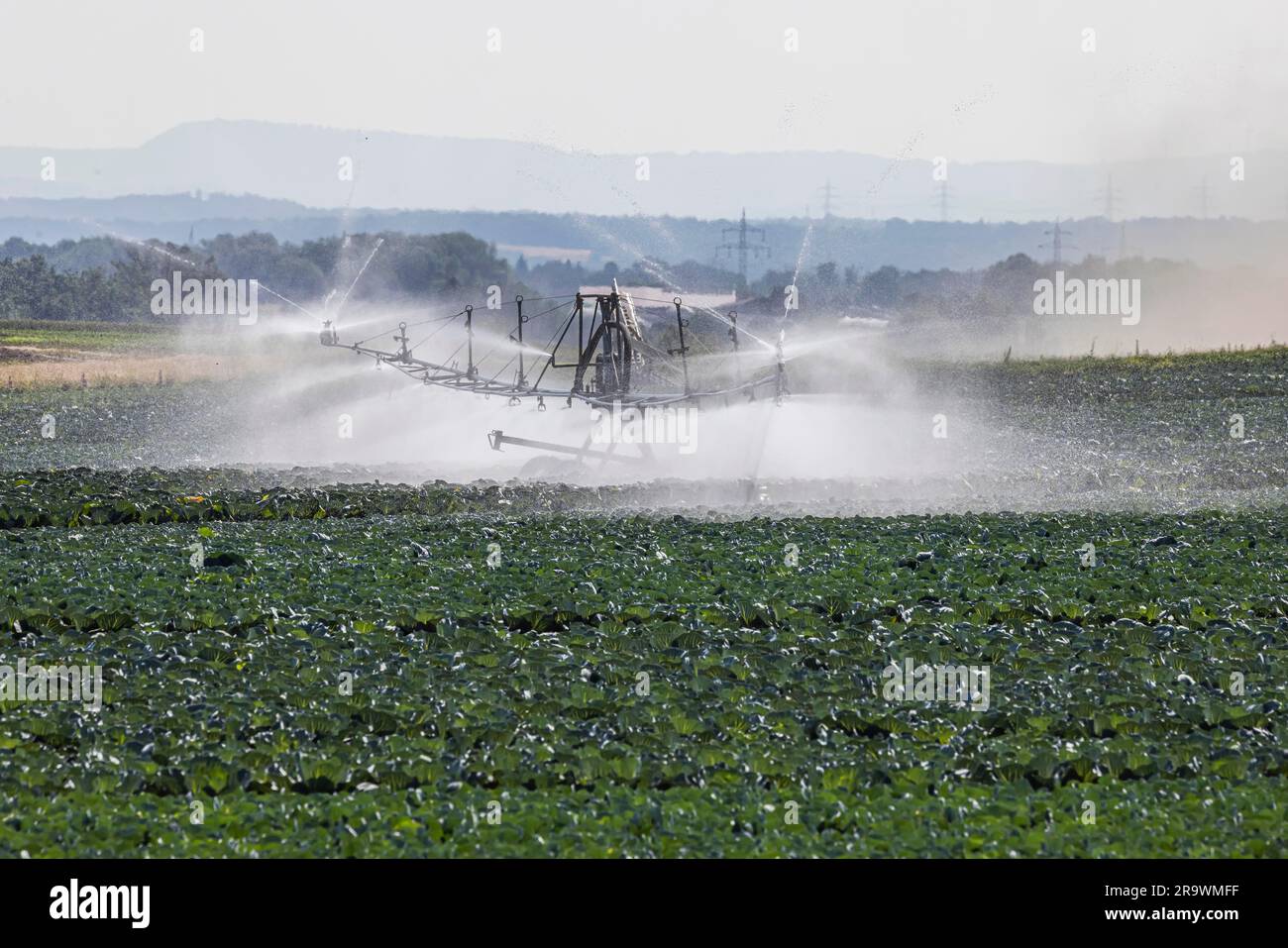 Problems for farmers hi-res stock photography and images - Alamy