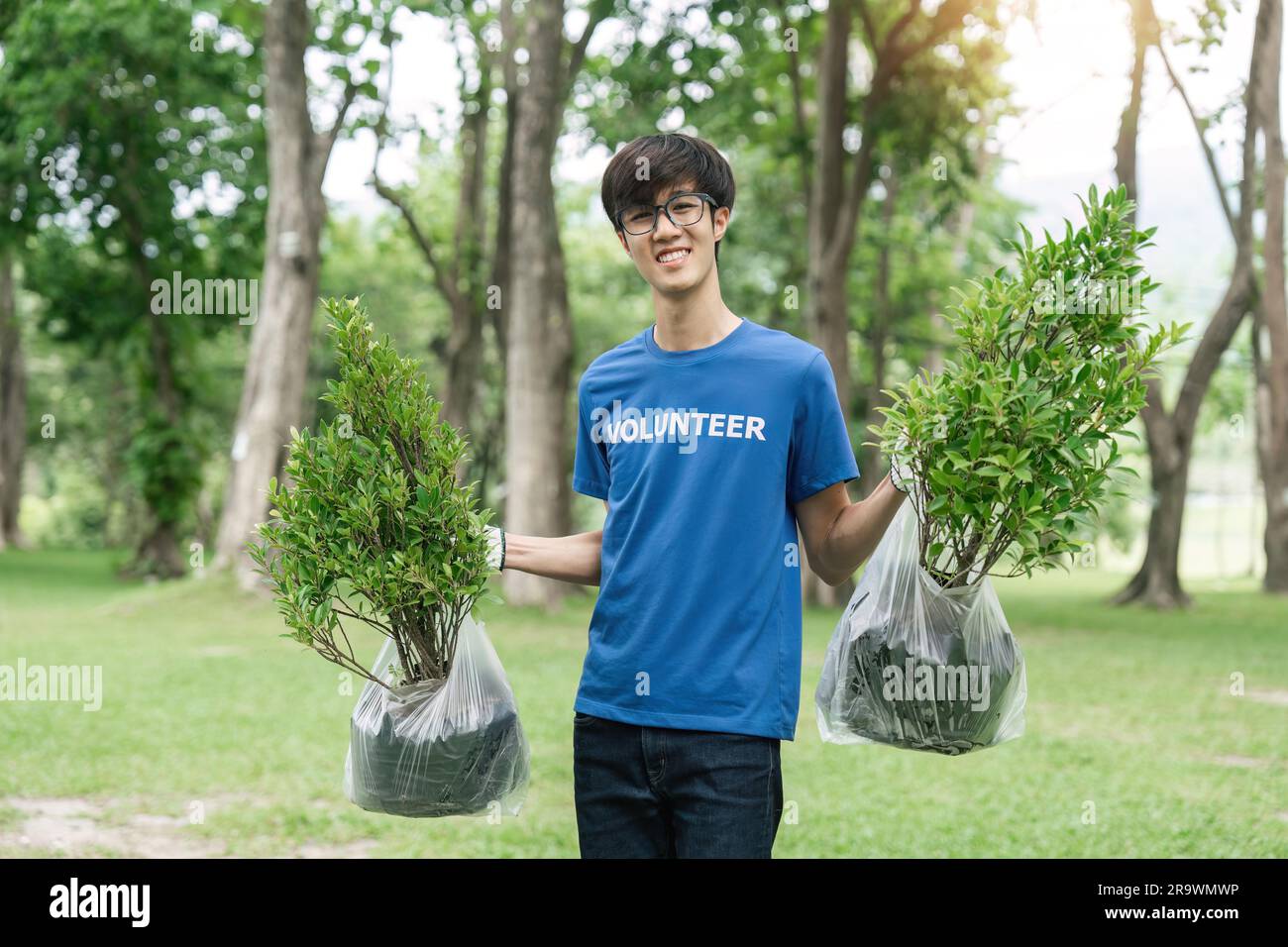 male portrait, tree and gardening in a park with trees in nature ...